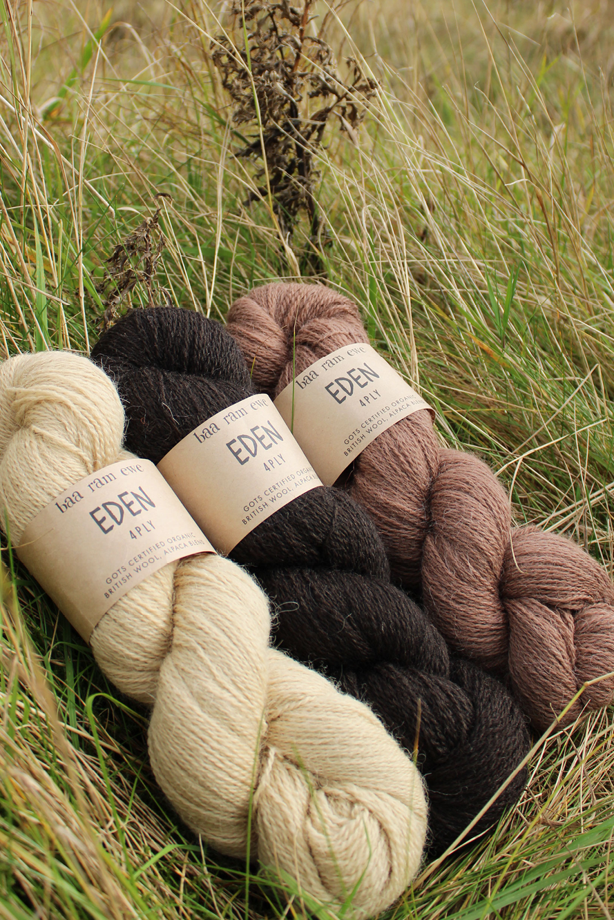 CHSi 2025 products 667 x 1000px - shepley Eden 4ply - CHSI Stitches